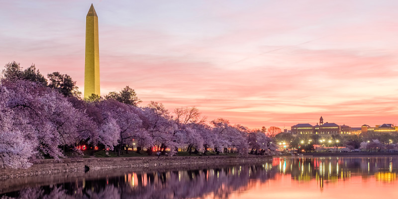 ASRT Events, Programs and Conferences